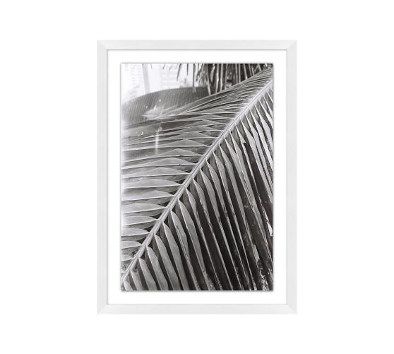 Palm Spine by Leco Moura | Pottery Barn
