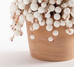 Faux Potted Berry Cluster Cone Trees | Pottery Barn