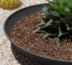 All Weather Eco Hevea Outdoor Bowl Planters | Pottery Barn