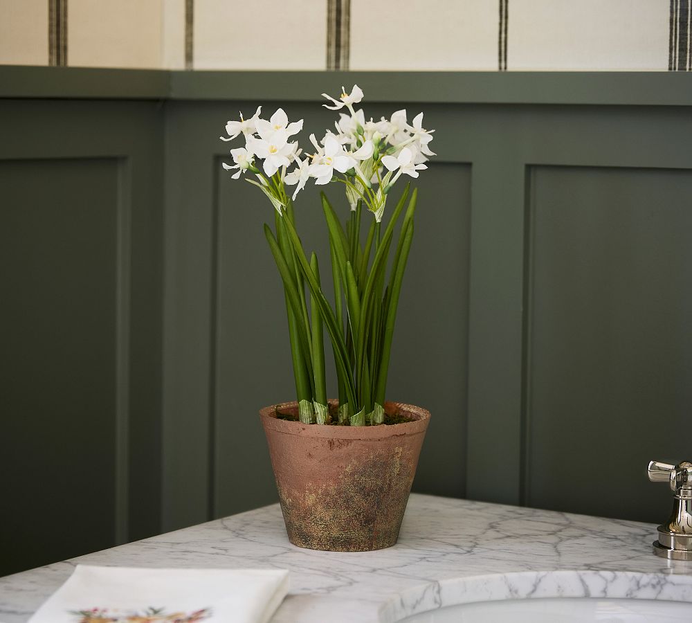Faux Potted Paperwhites | Pottery Barn