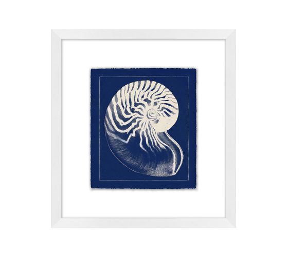 Nautilus Shell Framed Print | Pottery Barn