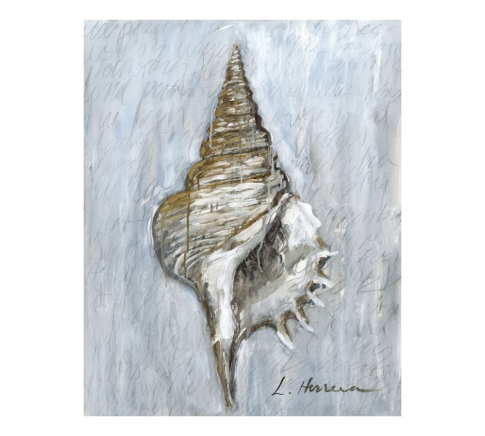 Shell Study #3 by Lauren Herrera | Pottery Barn