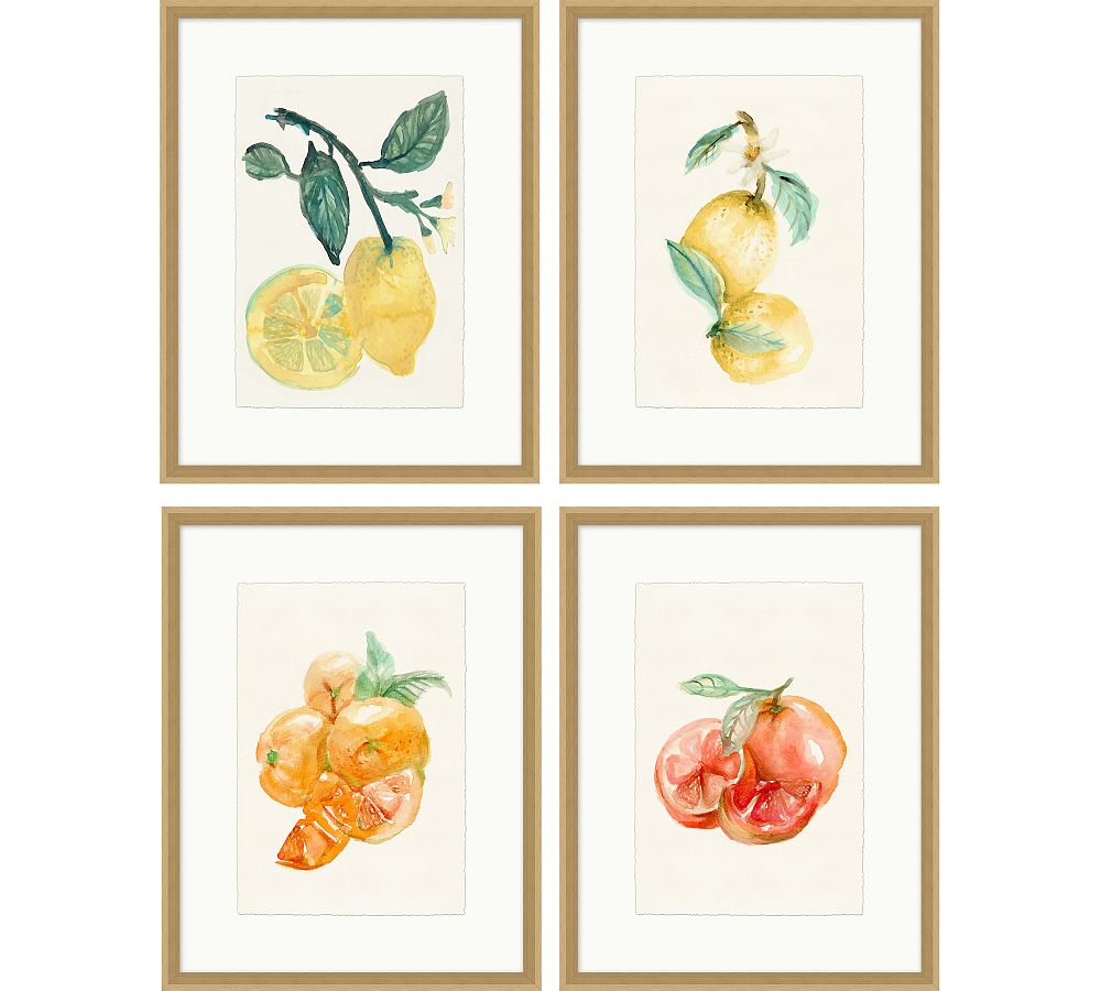 Summer Citrus Framed Print | Pottery Barn
