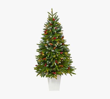 Potted Snow Tipped Portland Spruce Artificial Christmas Tree | Pottery Barn