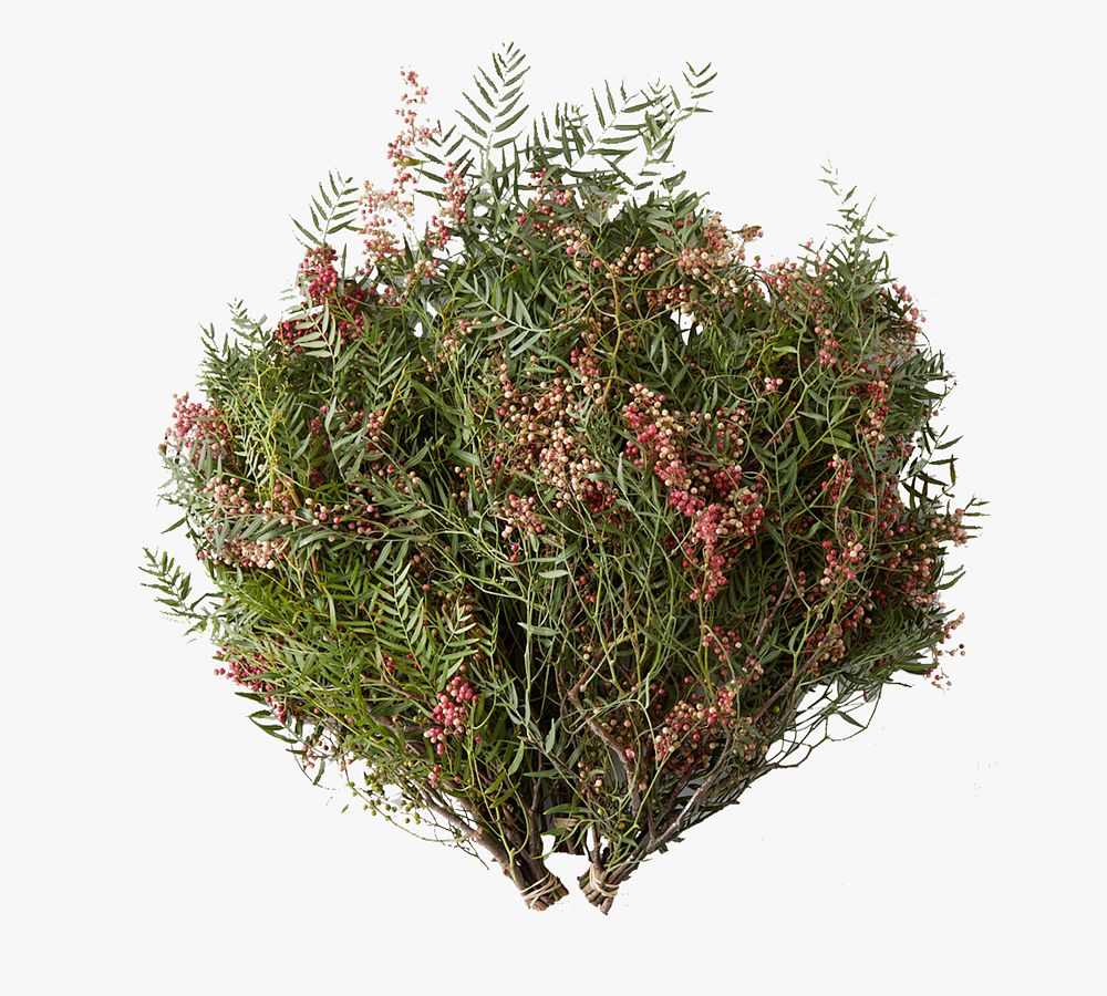 Live Pepperberry | Pottery Barn