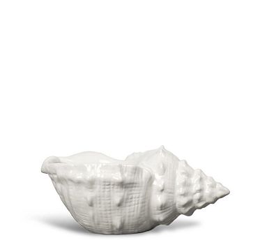 Conch Shell Serving Bowl | Pottery Barn