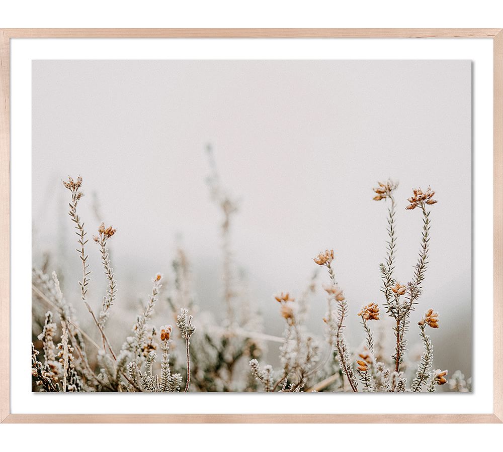 In The Details II Framed Print By Annie Spratt | Pottery Barn
