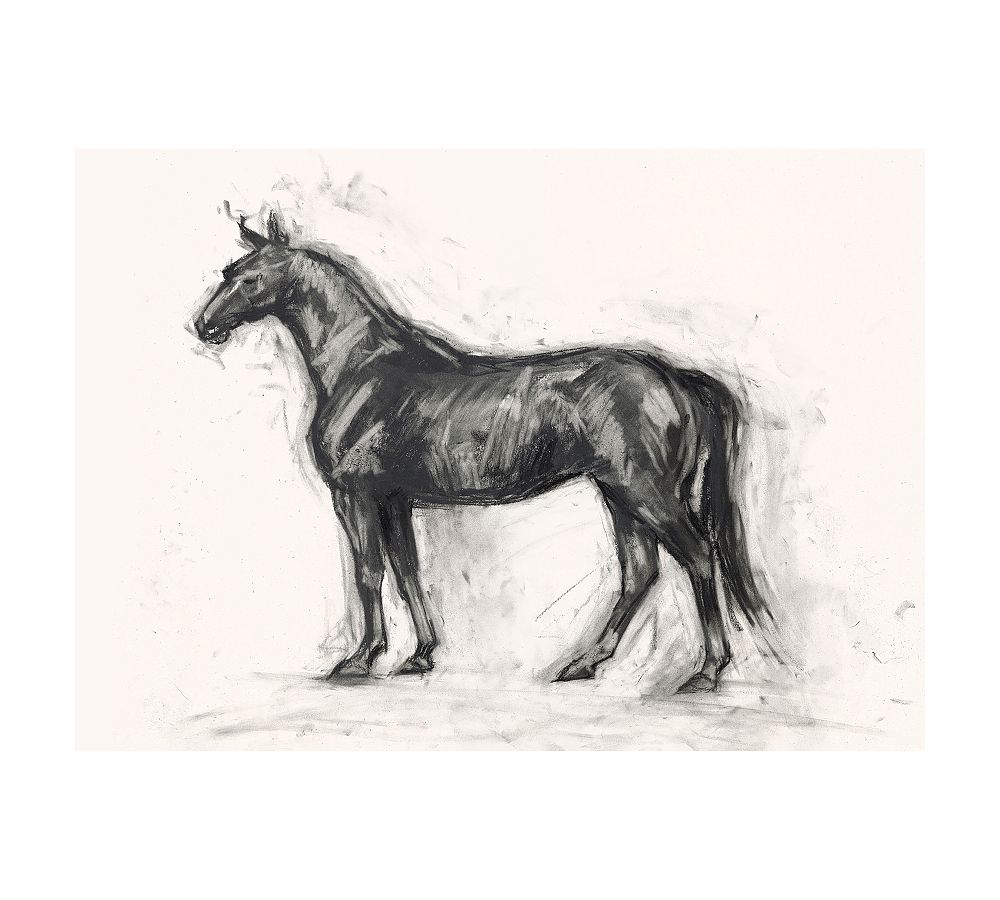 Charcoal Horse Sketch by Lauren Herrera | Pottery Barn