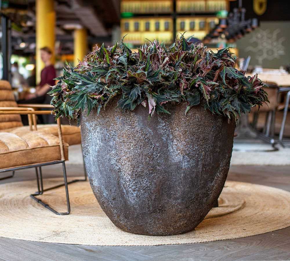 Lightweight Short Tapered Ficonstone Planter | Pottery Barn