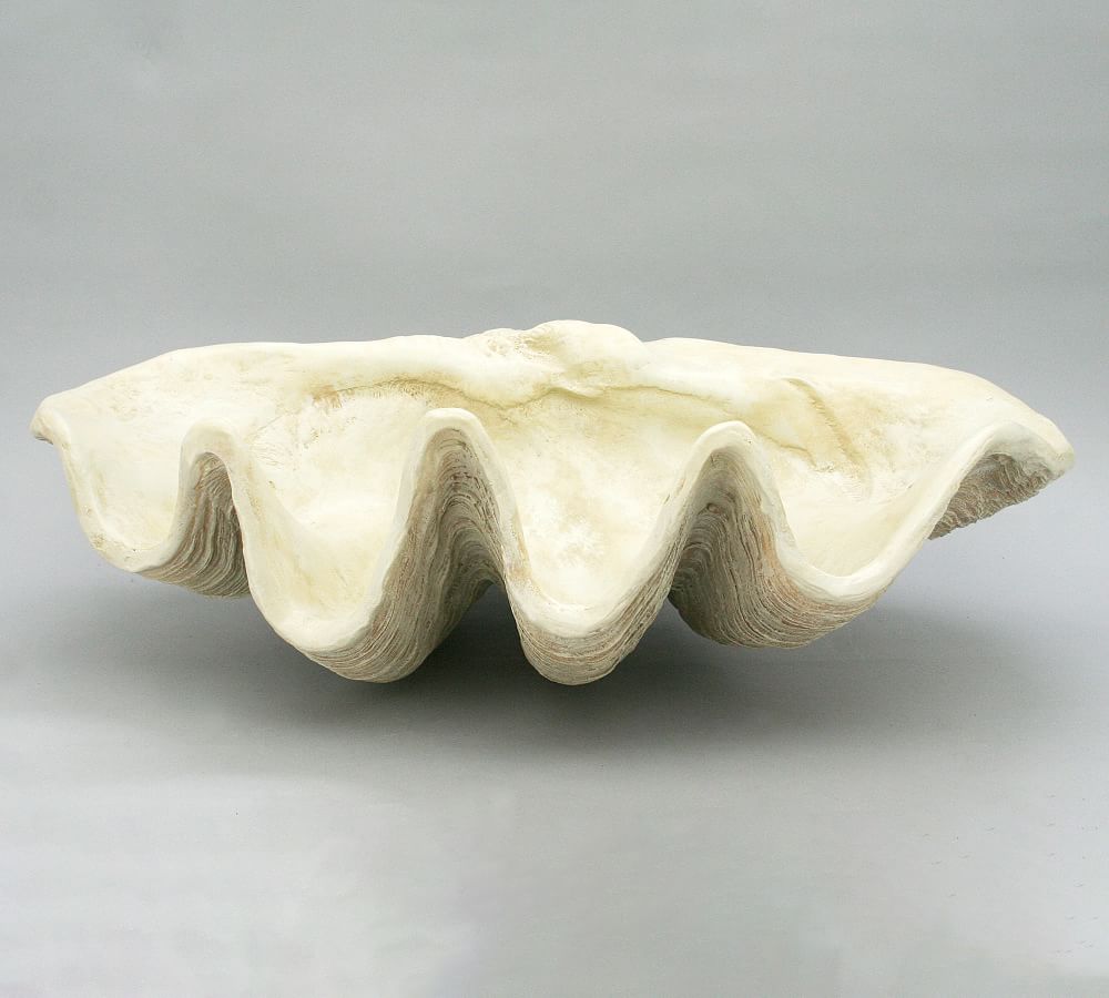 Open Box: Giant Clam Decorative Object | Pottery Barn