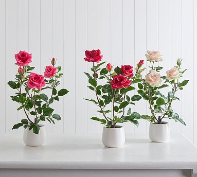 Faux Potted Roses | Pottery Barn