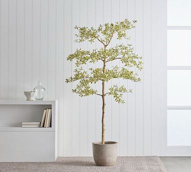 Faux Gregorywood Variegated Leaf Tree with Shapeable Trunk | Pottery Barn