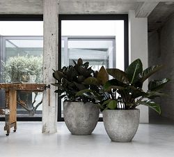 Livona Textured Ficonstone Planter | Pottery Barn