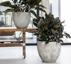 Livona Textured Ficonstone Planter | Pottery Barn