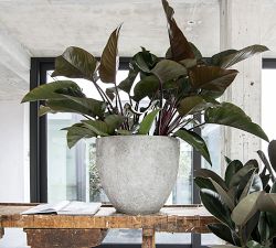 Livona Textured Ficonstone Planter | Pottery Barn