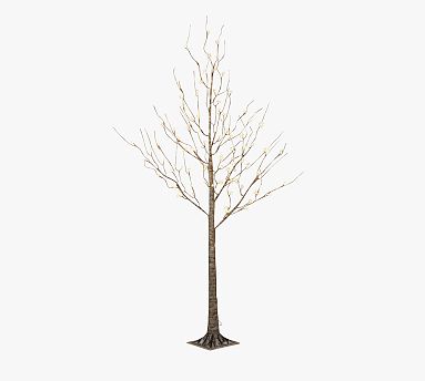 Lit LED Wrapped Birch Tree | Pottery Barn