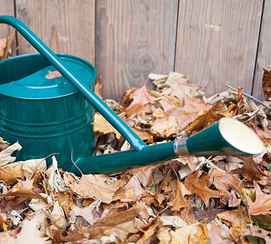 Watering Can - Green | Pottery Barn