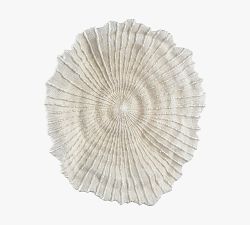 Handmade Ceramic Shell Wall Art - Set of 3 | Pottery Barn