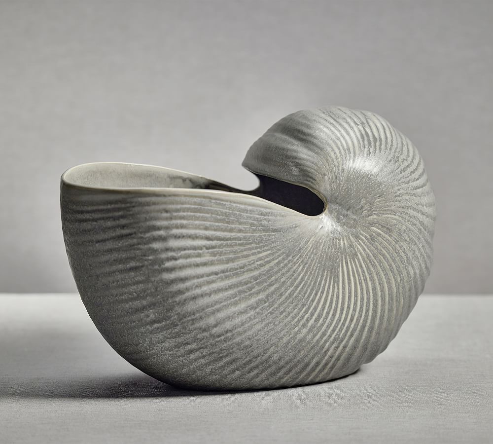 Nautilus Ceramic Shell Vase | Pottery Barn