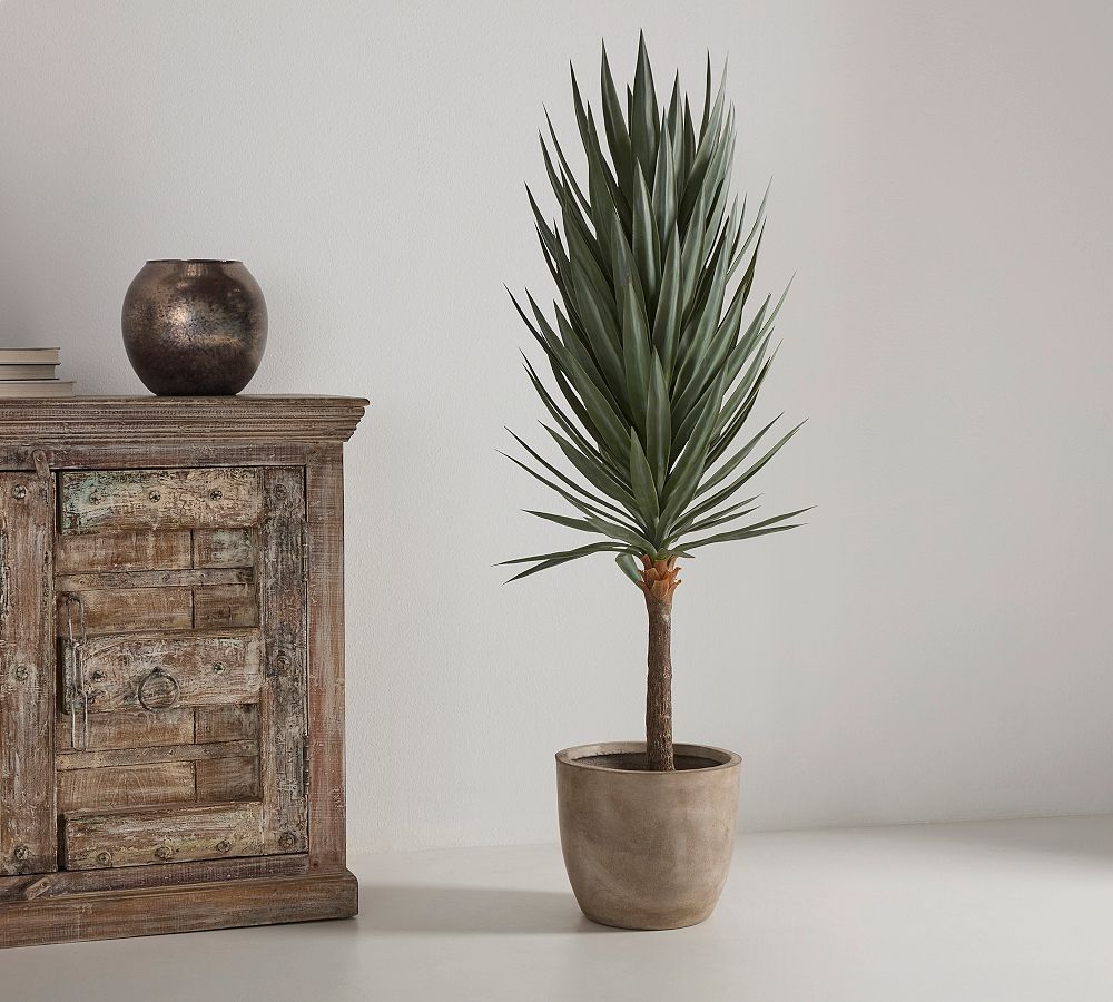 Faux Potted Coachella Valley Yucca Tree | Pottery Barn