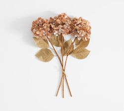 Faux Gold Hydrangea Bundle | Pottery Barn