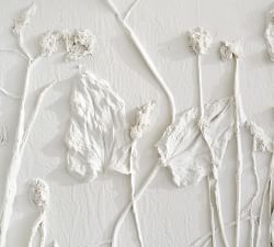 Pressed Botanical Wall Art | Pottery Barn