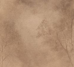 Roam Wall Art By Aileen Fitzgerald | Pottery Barn