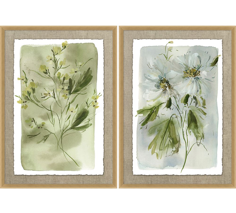 Whitlow Grass in Sage & Cosmos in Mist by Kelly Ventura | Pottery Barn
