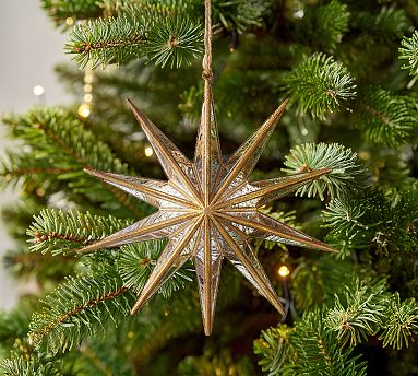 10 Point Mirrored Star Ornament | Pottery Barn
