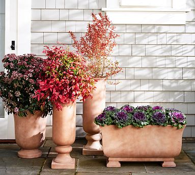 Herron Tuscan Planters | Pottery Barn