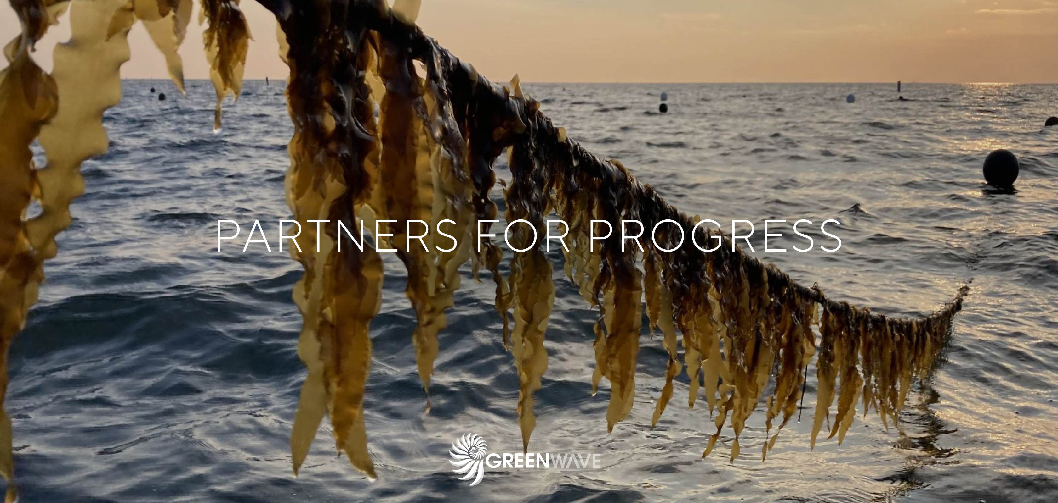 Partners for Progress | Pottery Barn