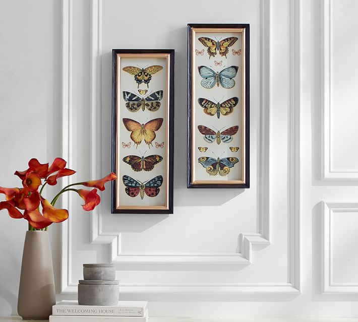 Butterfly Shadow Boxes - Set of 2 | Wall Decor | Pottery Barn