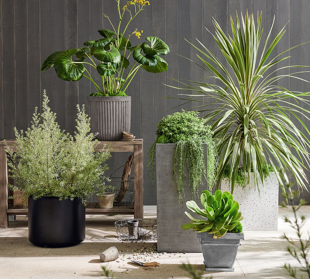 Concrete Fluted Planter - Grey | Pottery Barn