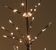 Pre-Lit Twinkling Twig Trees | Pottery Barn