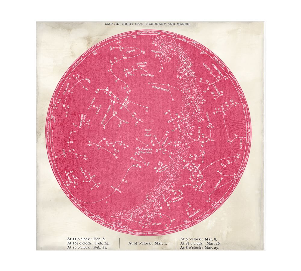 Framed Vintage Astronomical Chart - Pink | Pottery Barn