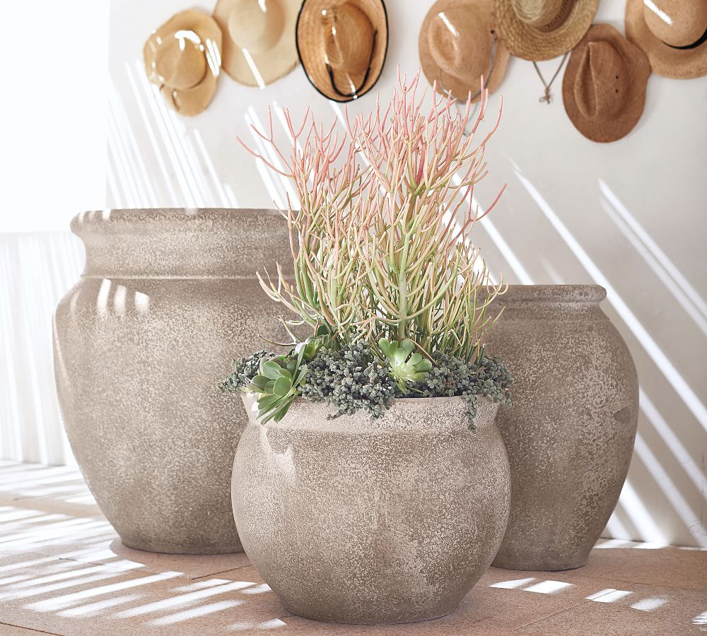 Azina Planters | Pottery Barn