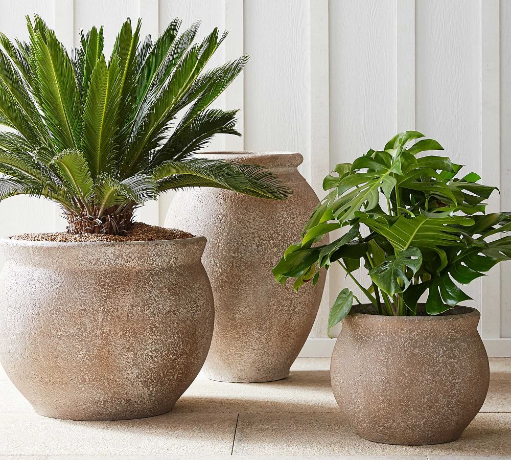 Azina Planters | Pottery Barn