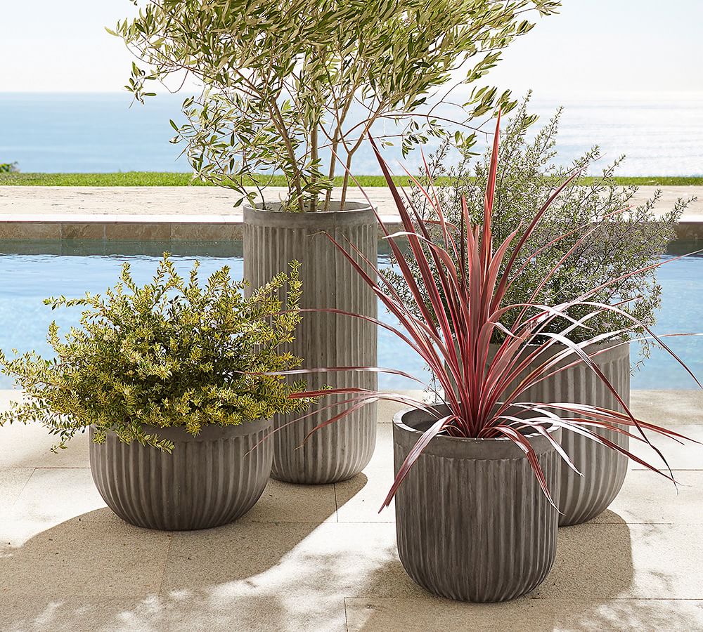 Concrete Fluted Planter - Grey | Pottery Barn