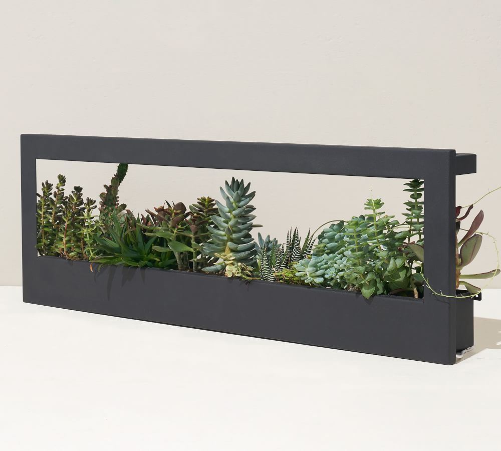 Growframe, 32" X 11.5" | Pottery Barn