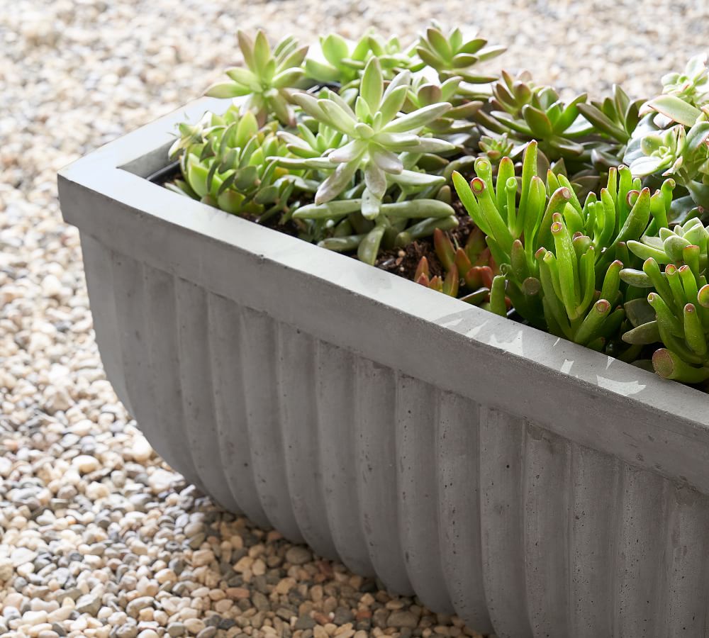 Concrete Fluted Planters | Pottery Barn
