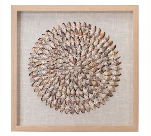 Oyster Shell Shadow Box Wall Art | Pottery Barn