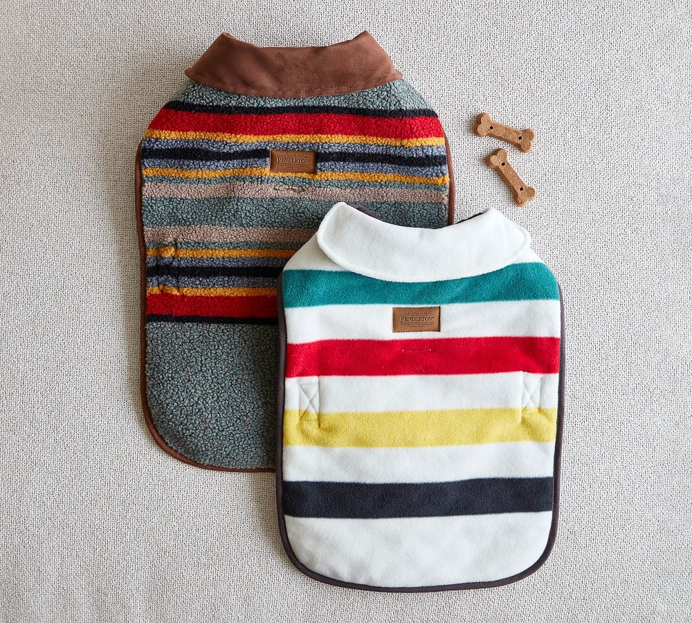 Pendleton® Camp Pet Coat | Pottery Barn