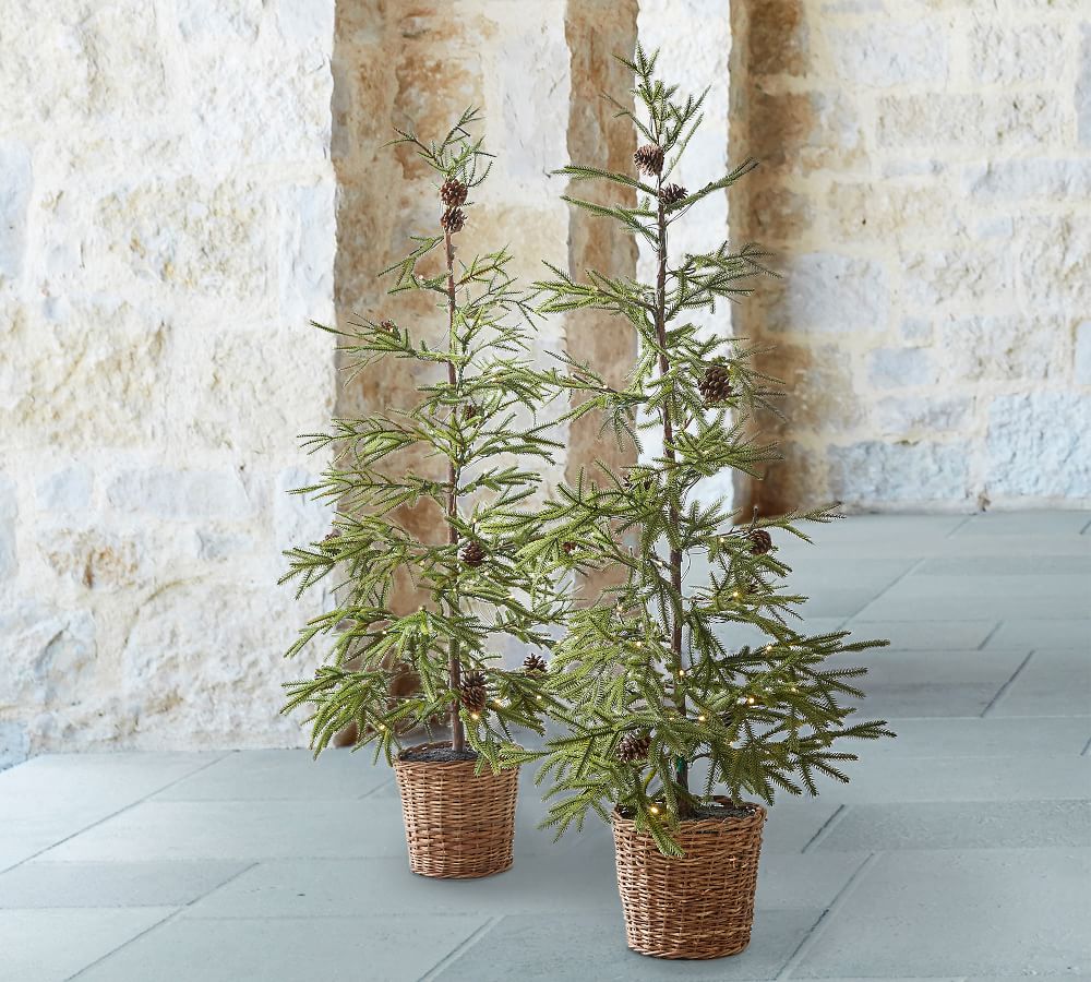 Pre-Lit Faux Pine Trees in Baskets | Pottery Barn
