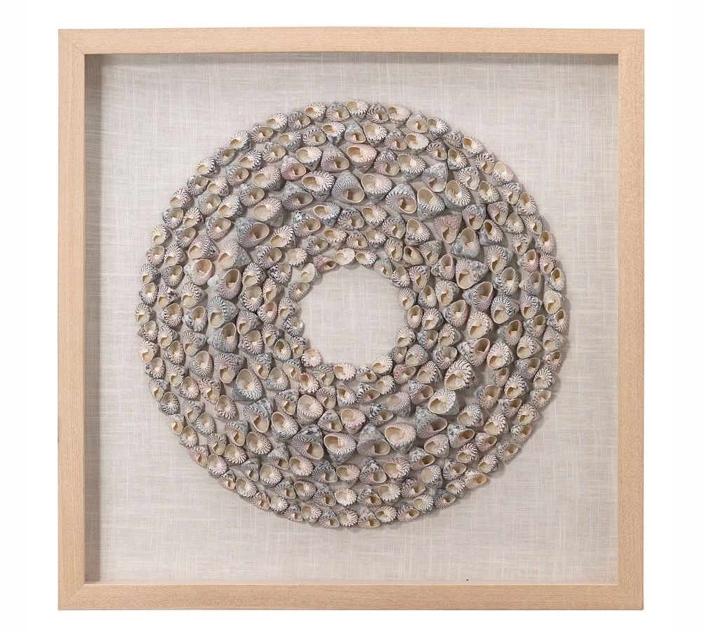 Trochidae Shell Shadow Box Wall Art | Pottery Barn