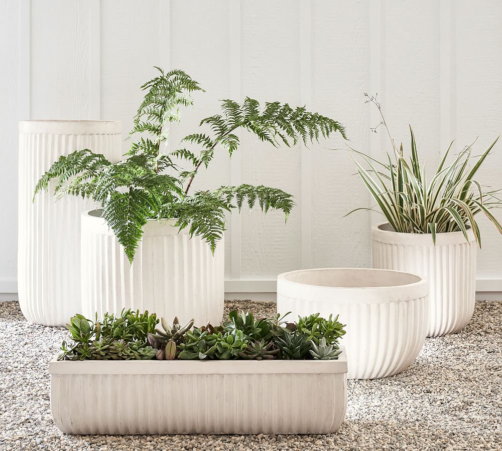 Concrete Fluted Planters | Pottery Barn