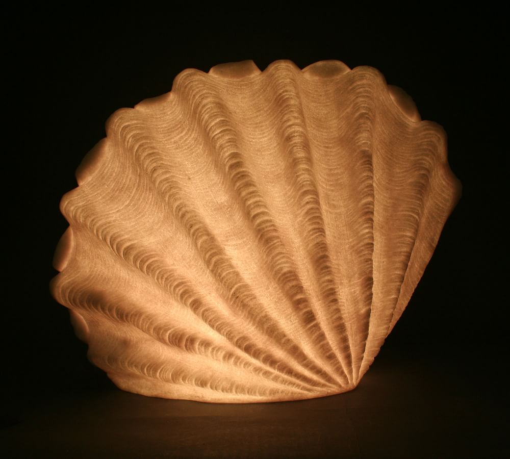 Decorative Light Up Frosted Glass Sea Scallop | Pottery Barn