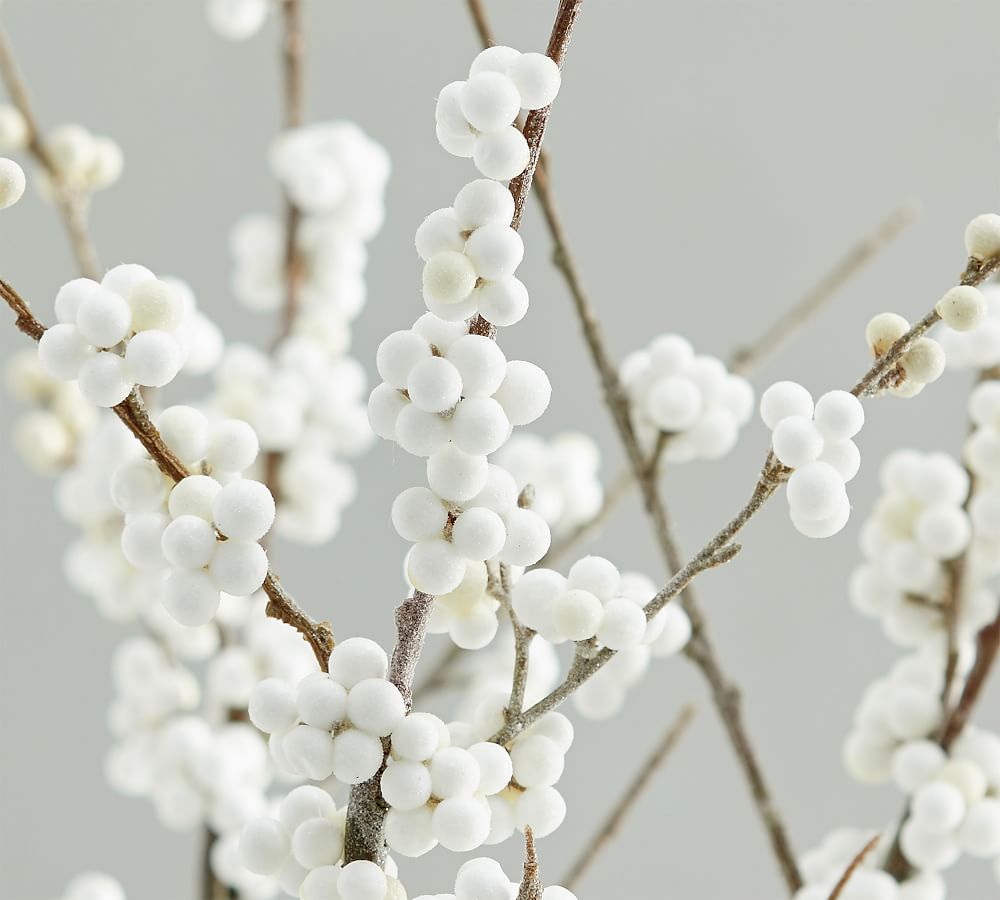 Faux Berry Branches - White | Pottery Barn