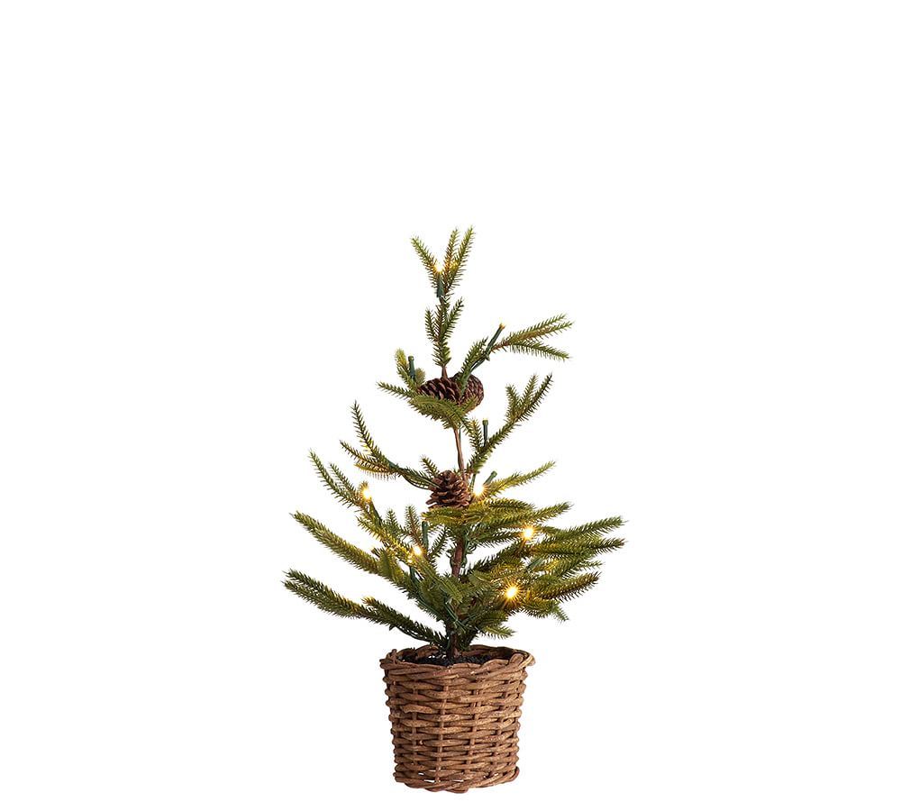 Pre-Lit Faux Pine Trees in Basket | Pottery Barn
