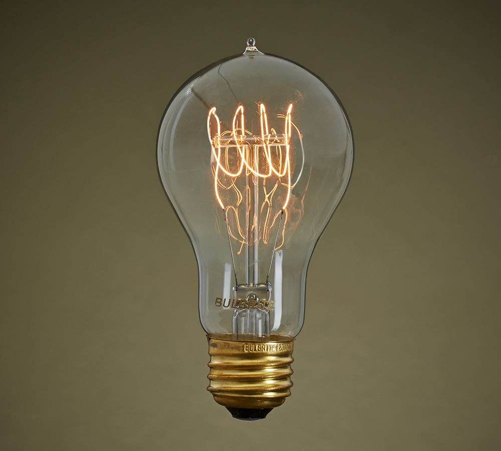 Filament Loop 60W Light Bulb | Pottery Barn