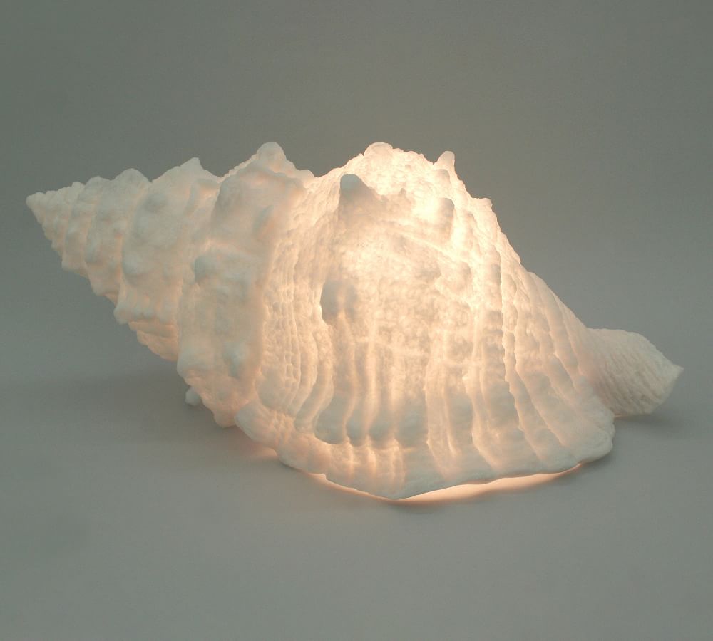 Decorative Light Up Frosted Glass Sea Shell | Pottery Barn